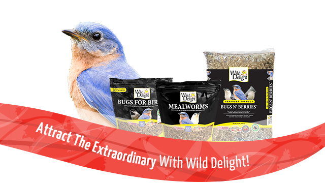 Wild Delight | Premium Nutrition For Outdoor PetsWild Delight | Premium ...